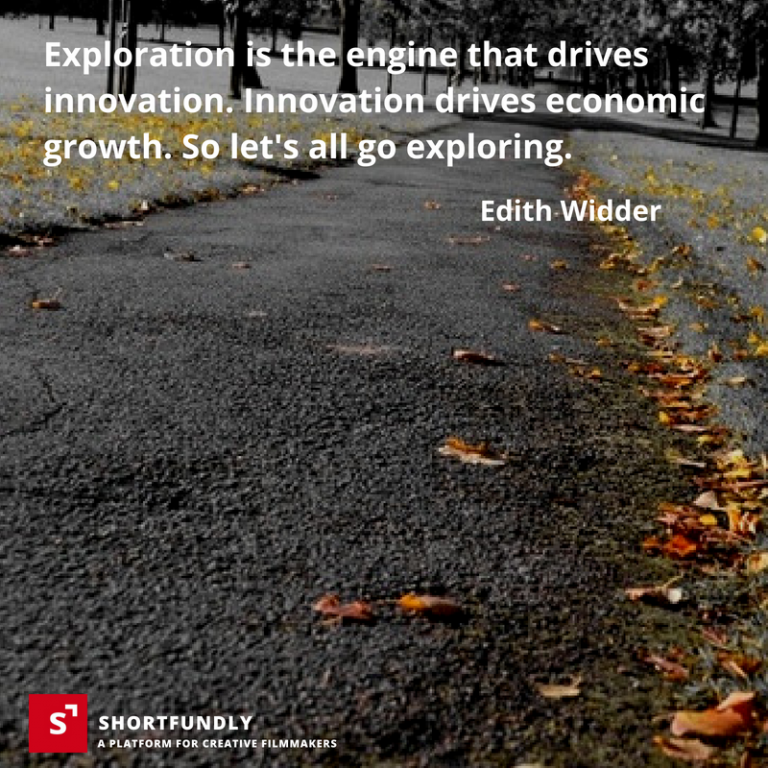 Top 6 Innovation Quotes To Motivate Yourself | Shortfundly Blog