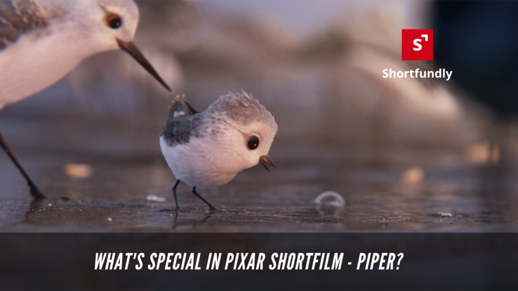 Piper Pixar Short Film | What's Special In Pixar Short Film - Piper?