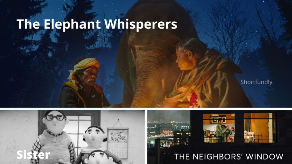 2023: A Recap Of The Best 5 Oscar-Winning Short Films - Shortfundly